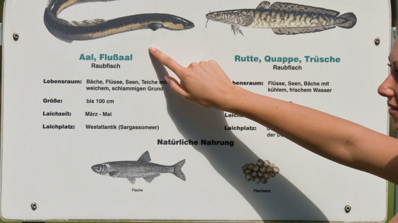 Fischlehrpfad Roding