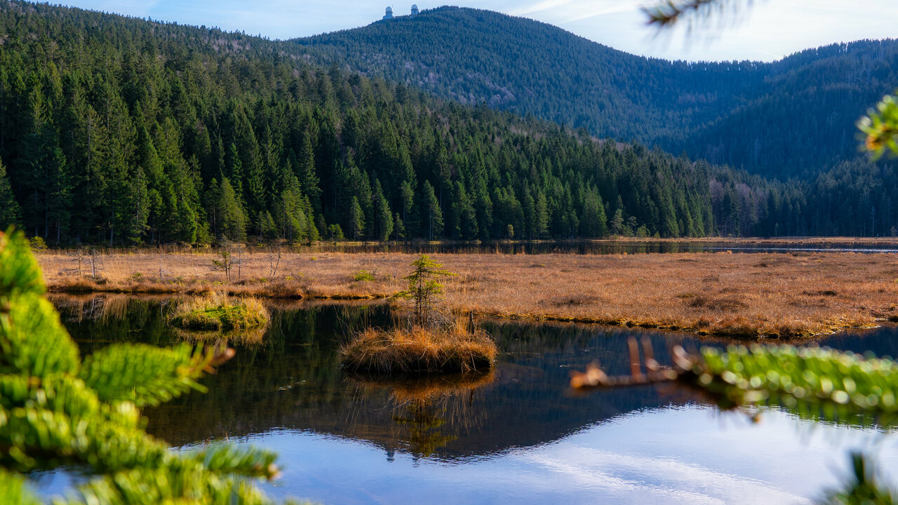 Erlebnisholzkugel Steinberg am See