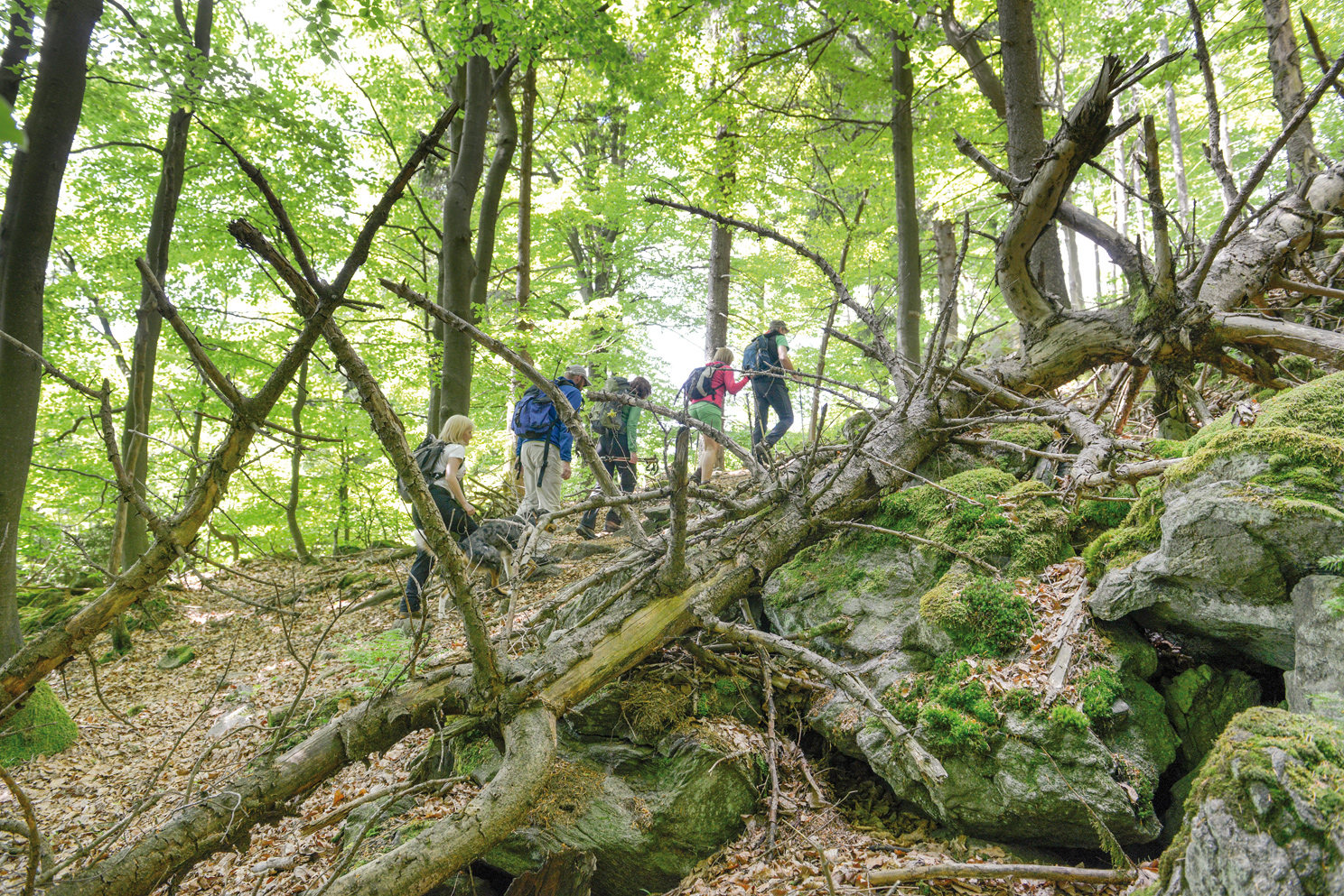 Geführte Wanderungen